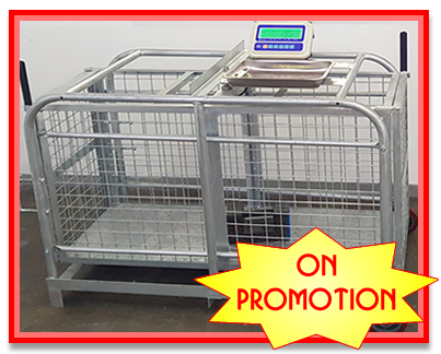 Sheep Goat Professional Scale | Scales Suppliers South Africa ...